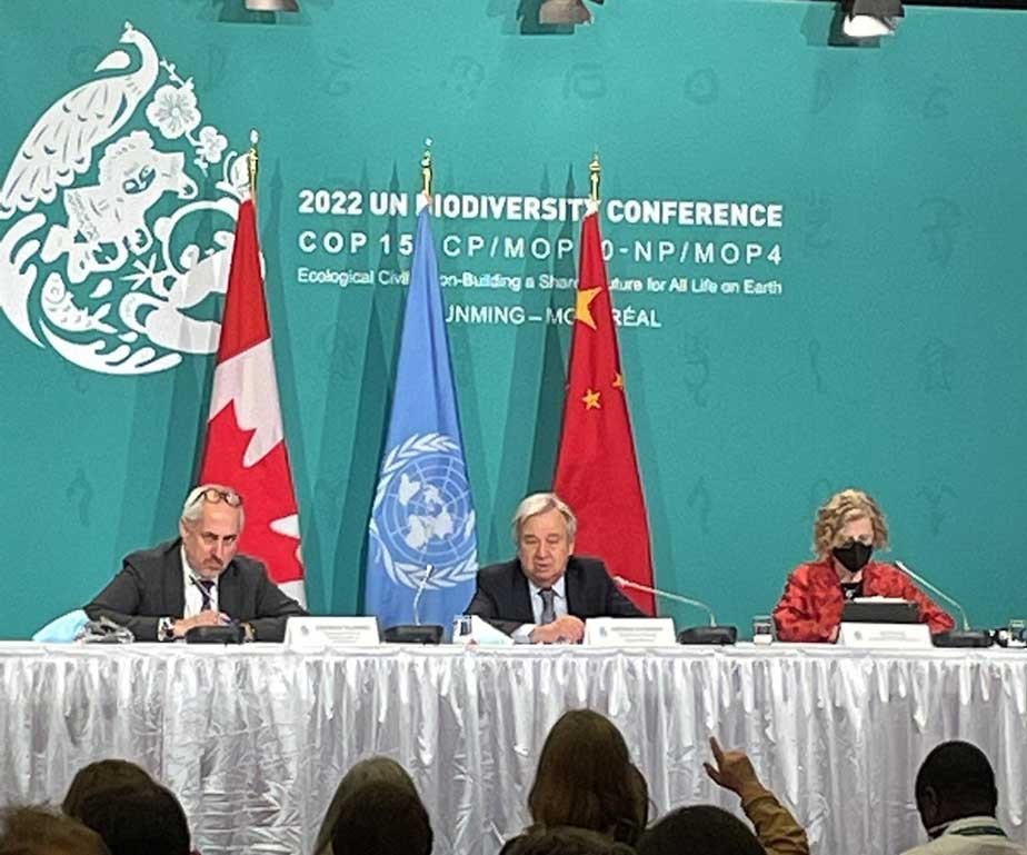 COP15の成果と、参加した大学生の声 ビジネスパーソンのためのSDGs講座【21】：朝日新聞SDGs ACTION!