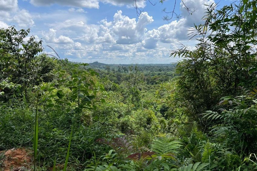 ベンチマークから読み解くTNFD開示の意義と企業動向 WWFと考える～SDGsの実践～【17】：朝日新聞SDGs ACTION!